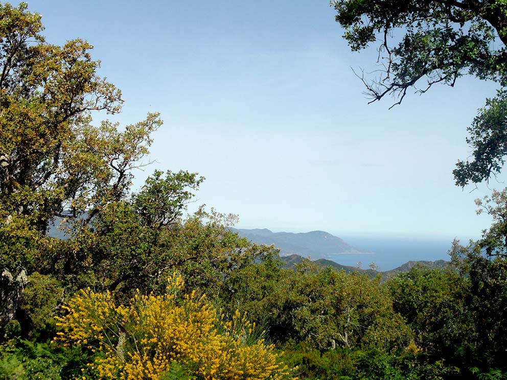 Le sel de la terre: Séraidi