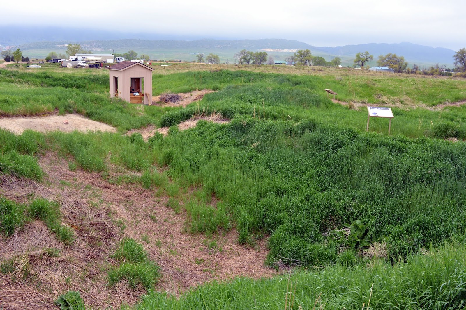 Mille Fiori Favoriti: Lamb Springs--Where the Mammoths Roamed