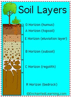 Soil Structure And Texture