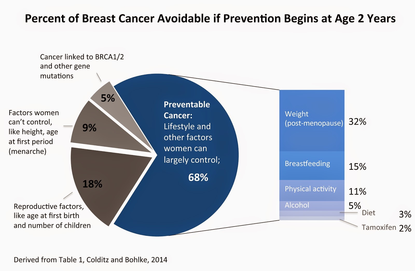 The Power of Youth: Beginning Breast Cancer Prevention in Childhood ...