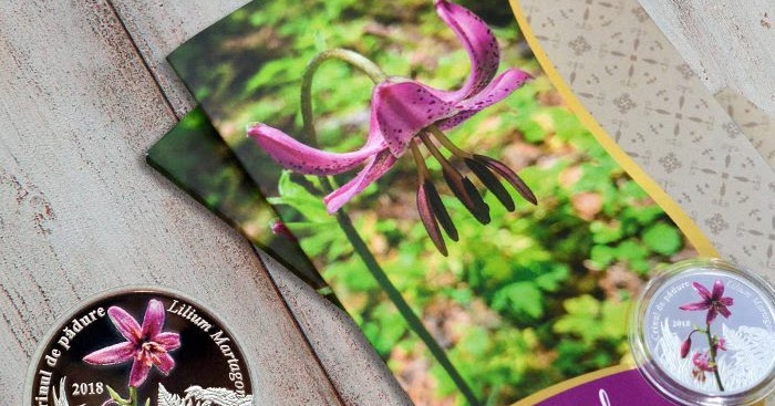 numismon: Medalie-Crinul de padure