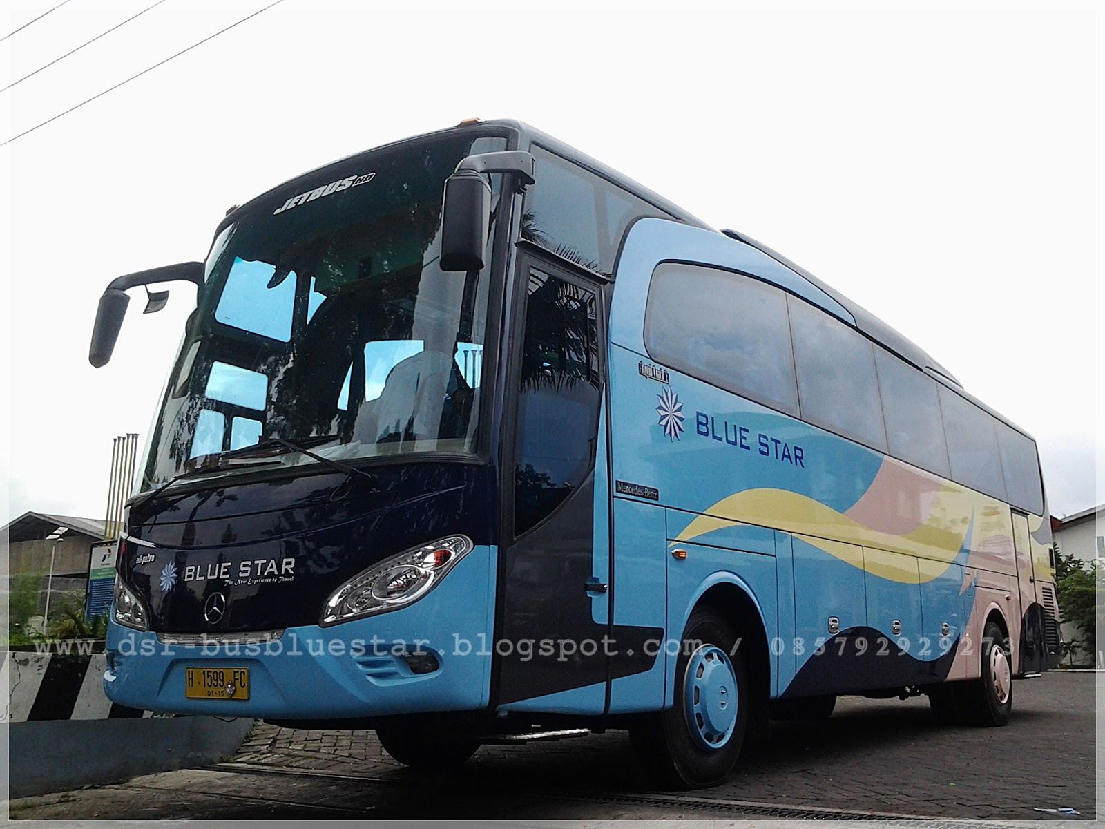 Direct Sales Representative Bus Pariwisata Blue Star : BUS BLUE STAR ...