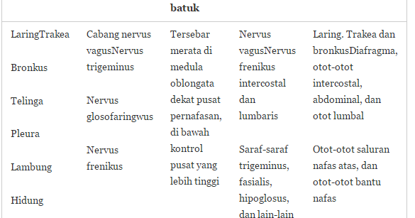 Mekanisme Batuk - Scilintia