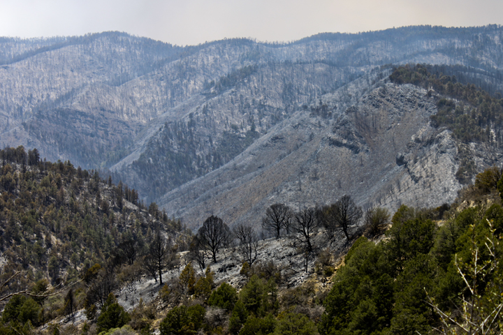 Community Calendar: Silver Fire - Black Range photo