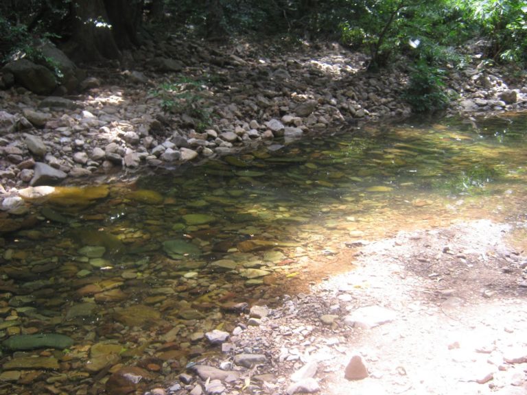 Hindu Temples of India: Venkateswara Temple, Tirumala – Tumburu Theertham