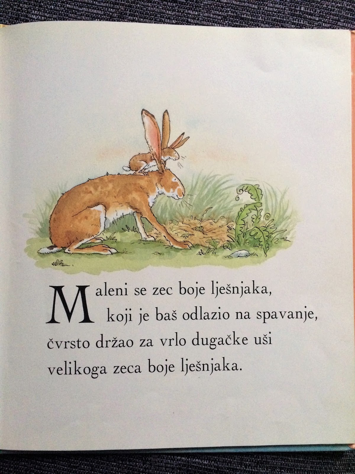 Pogodi koliko te volim