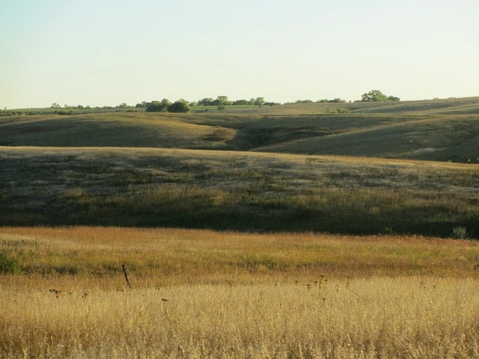T h e | D e e p | M i d d l e: Twilight on the Tallgrass -- Spring ...