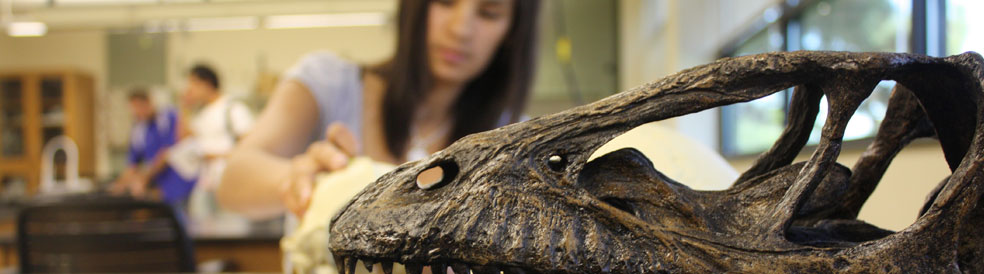 Educated Erosion: Bad Lab Procedures and Bad Science