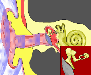 El Rincón del Pequeprofe