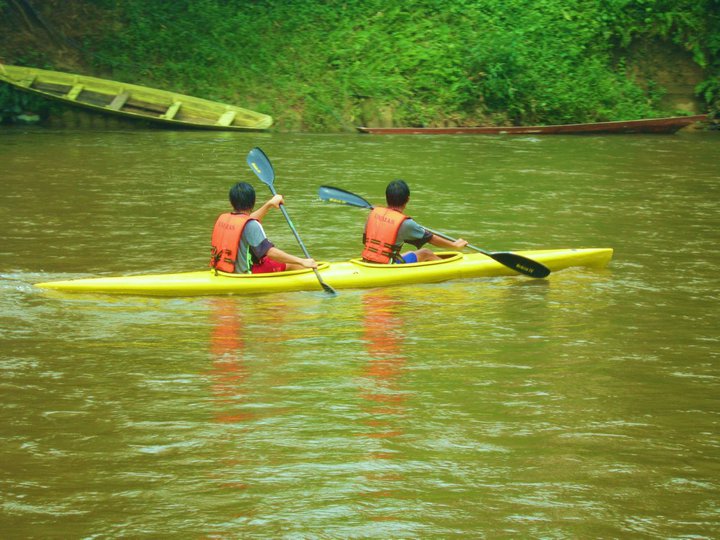 Cats City Hornbill Land: PADAWAN FEST RIVER SAFARI