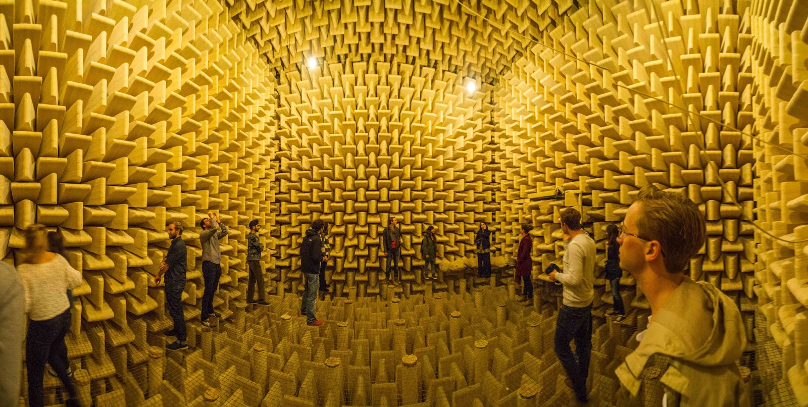 buckylab: VISITING AN ANECHOIC ROOM