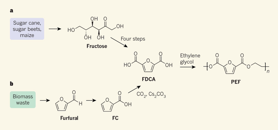Bioremediation Group Laguna: Making plastics from agricultural wastes ...