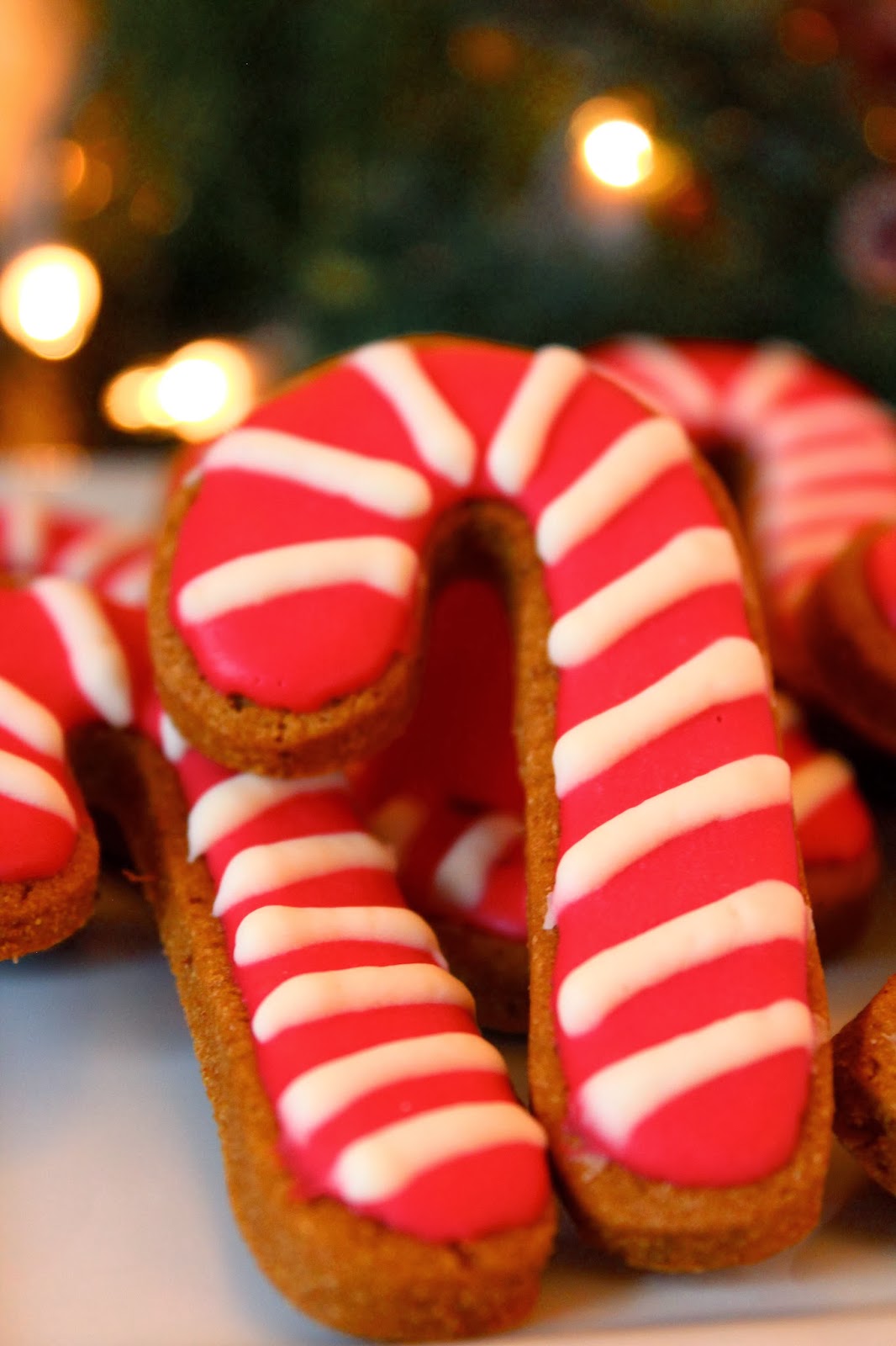 It's TIME! Christmas Dog Treats are here!! - Treat Dreams...are made of ...