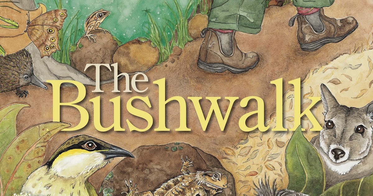Kids' Book Review: Review: The Bushwalk