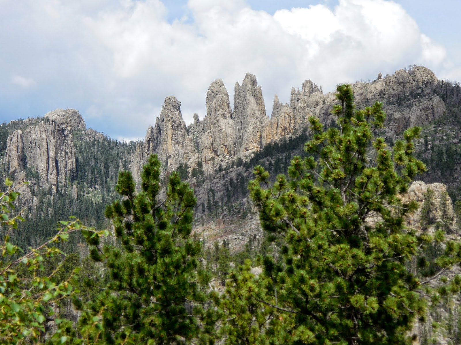 2dodges2go: 7/27-30/14 - Custer SP