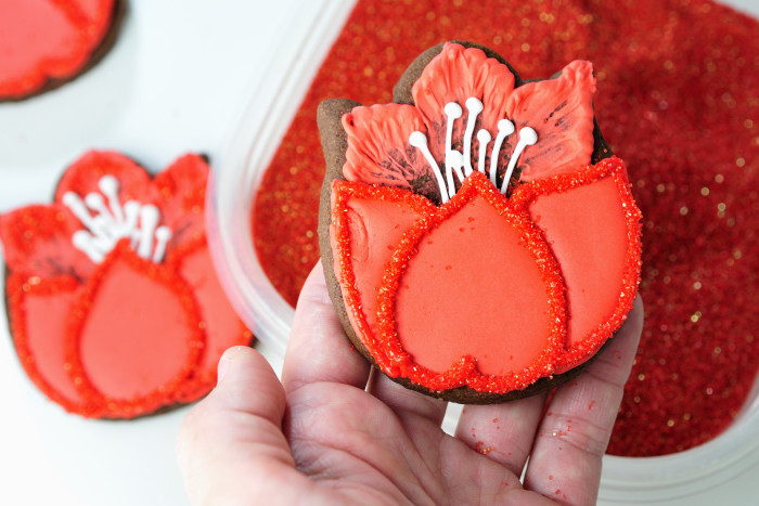 CancunCOOKIES: tulip cookie tutorial by haniela