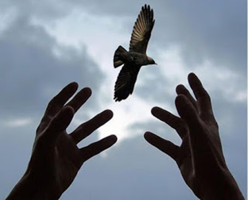 CÓMO SER MÁS LIBRE - LO HUMANO Y DIVINO