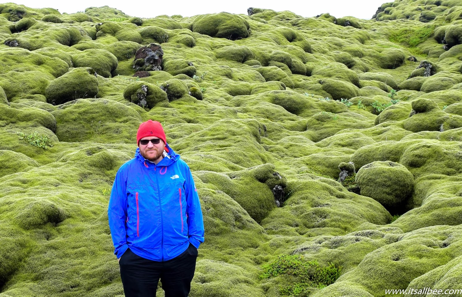 Iceland's Eldhraun Lava Field - Unmissable Sights Of Moss Covered ...