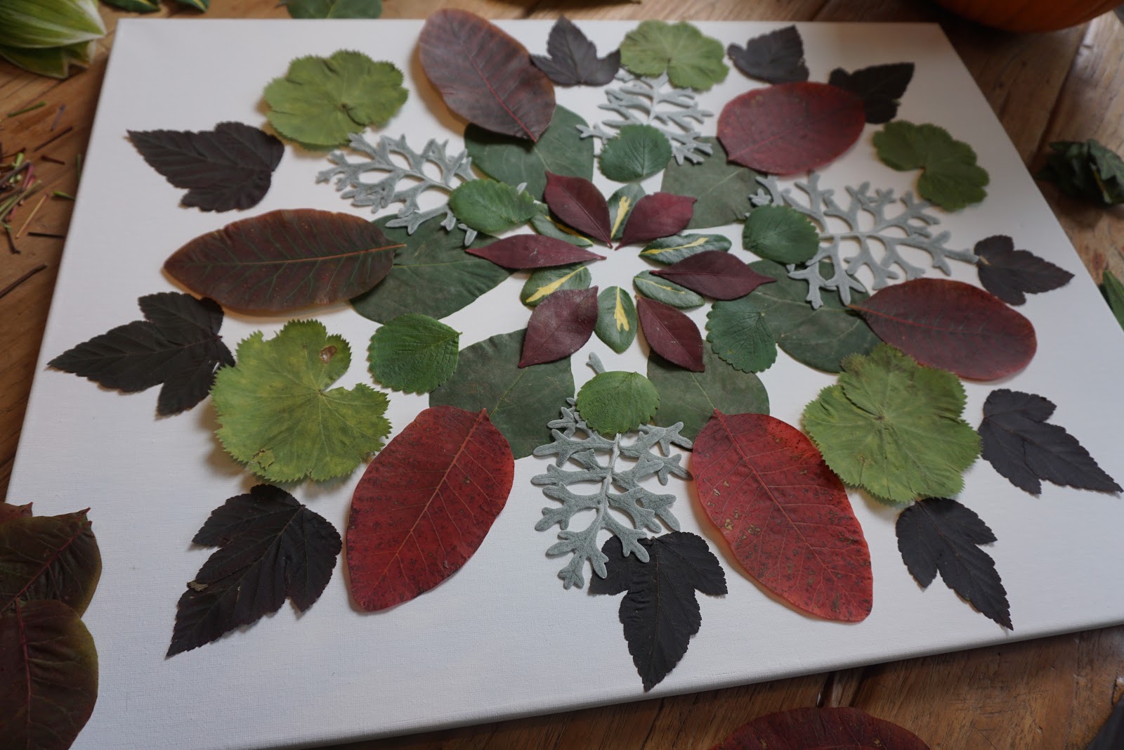 Playing with Leaves, Montessori Botany Activities at Home - "Making ...