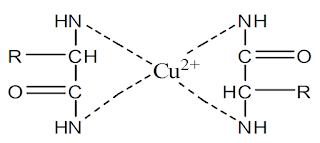 PERCOBAAN VIII - Aktivitas Spesifik Enzim α-Amilase ( Praktikum ...