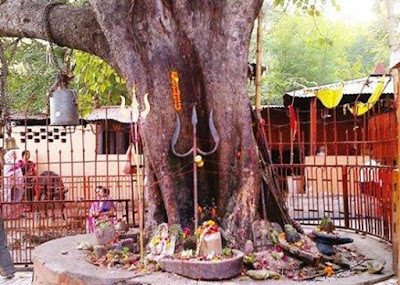 Shiva as Bada Dev: Gond Symbolisms on Indus Seals - Ancient Inquiries