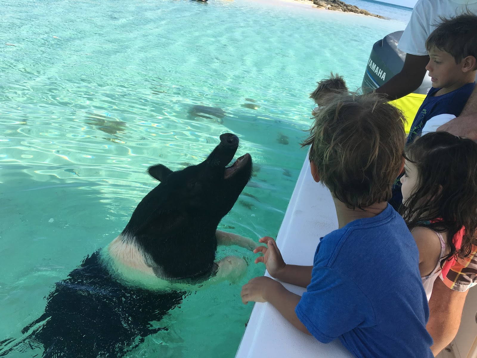 Alec Randall, Charlie Matthew & Josh Aaron Sungy