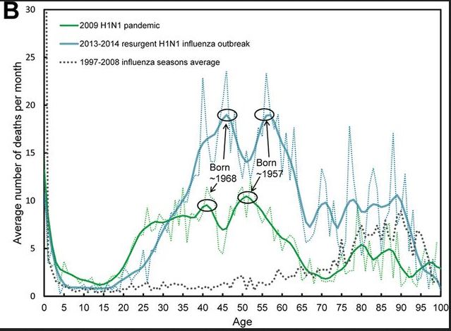 Avian Flu Diary: mBio: Pandemic Paradox - Early Life H2N2 Infection ...