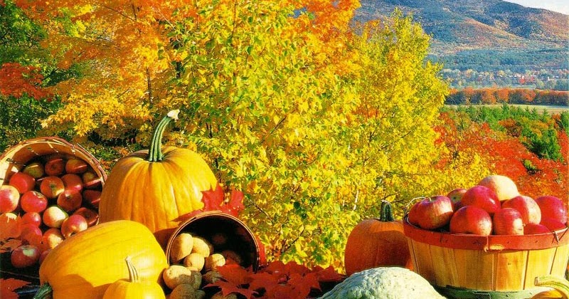 The Healthy Hoff: Seasonal Eating: Fall