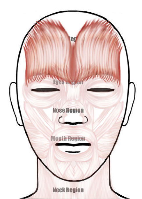 Sąmoningumas: Kaktinis raumuo