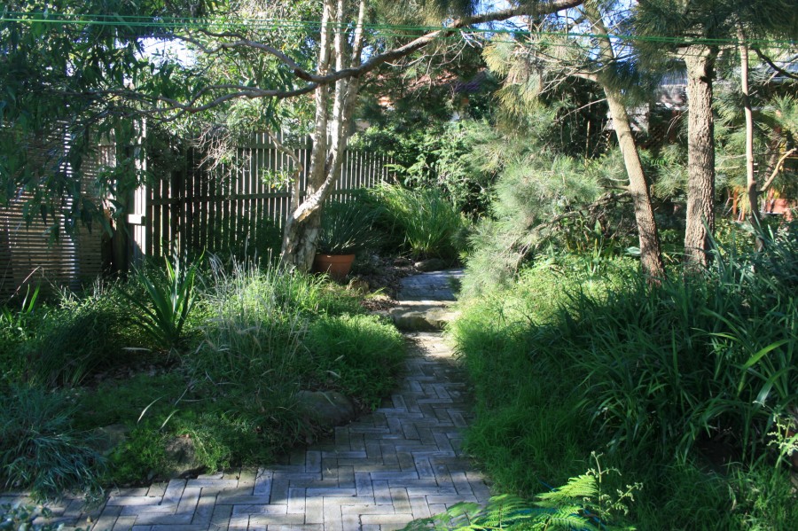 Formosa Design: Bird friendly garden design