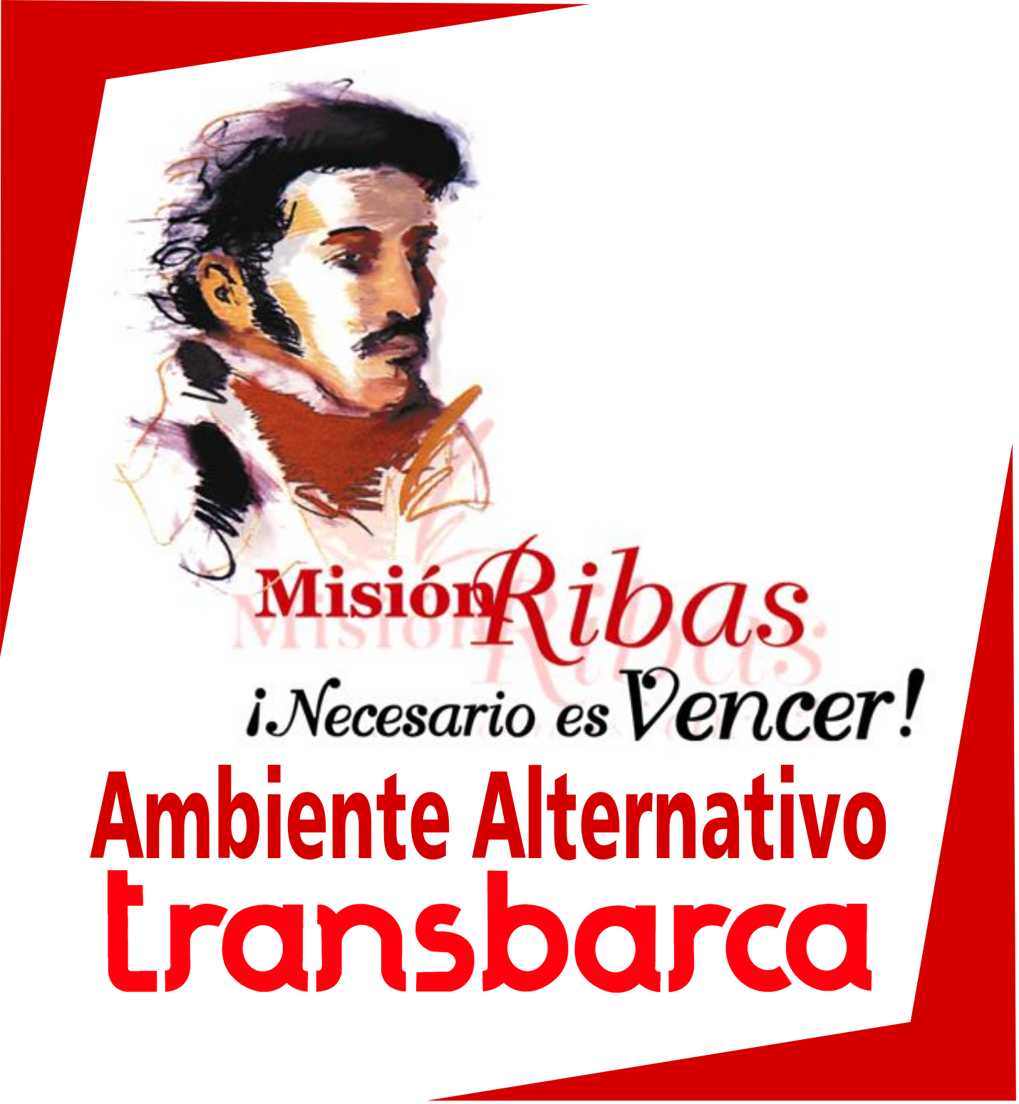 Misión Ribas Ambiente TRANSBARCA: PROYECTO PATIOS PRODUCTIVOS COHORTE ...