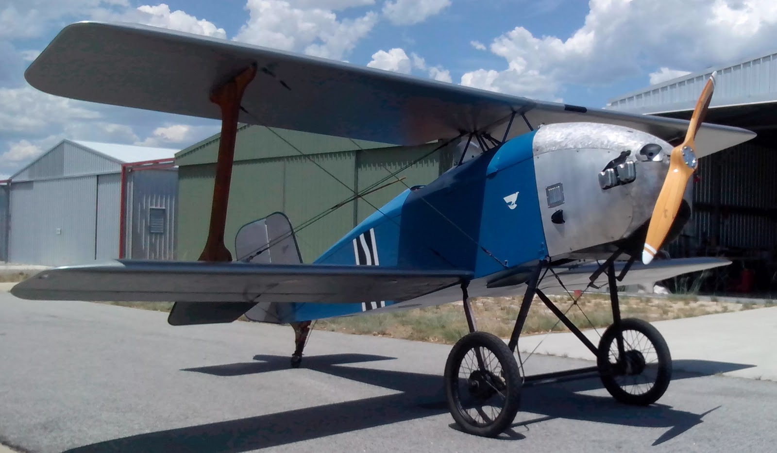 Hercules Propellers: Staaken Flitzer
