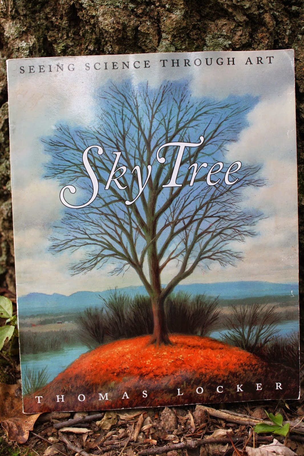 the marlowe bookshelf: Sky Tree