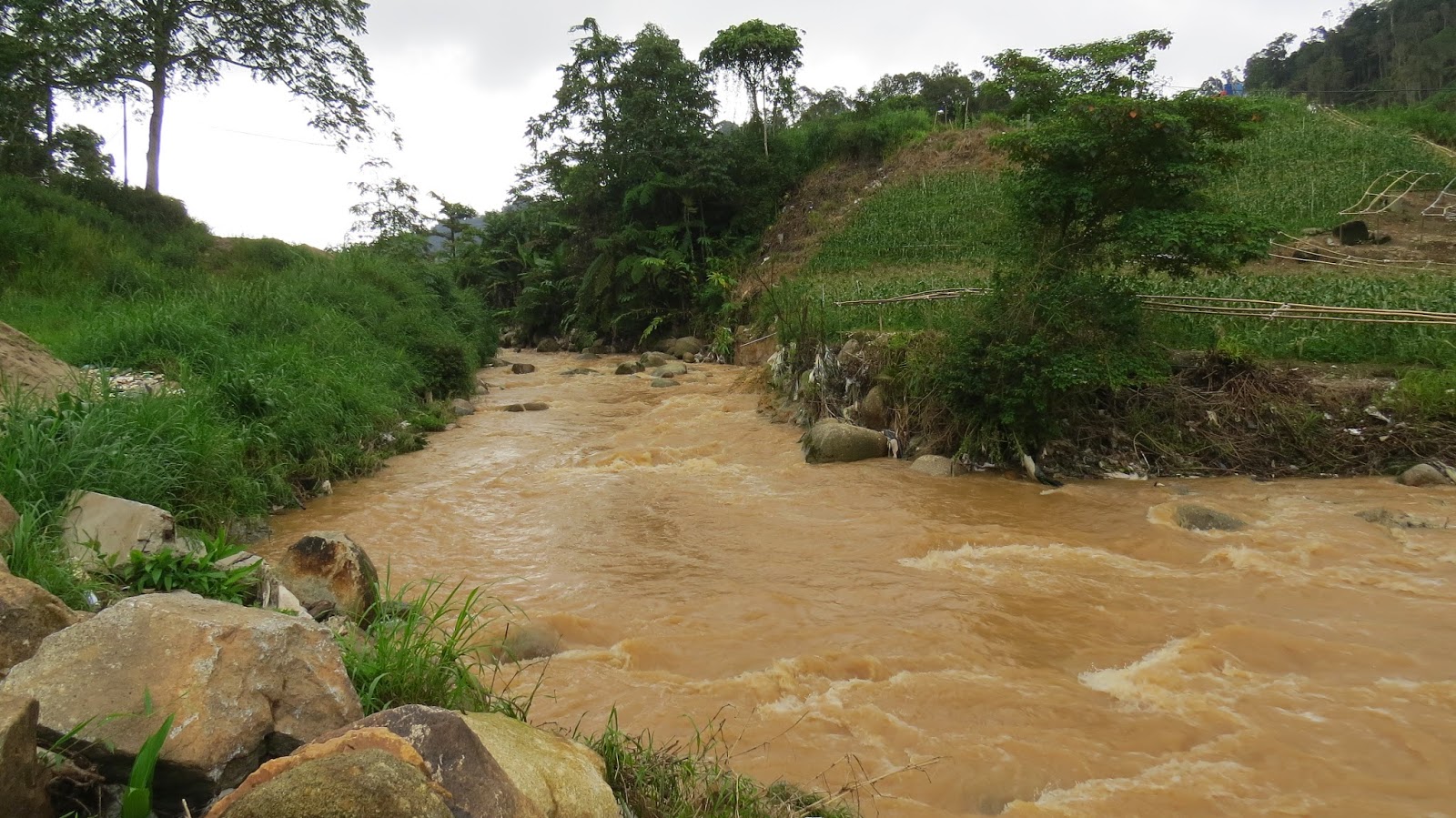 PESTICIDE ACTION NETWORK ASIA AND THE PACIFIC (PAN AP): Cameron ...