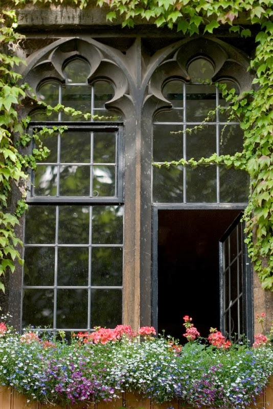 Ewa in the Garden: 13 Best Window Box Ideas