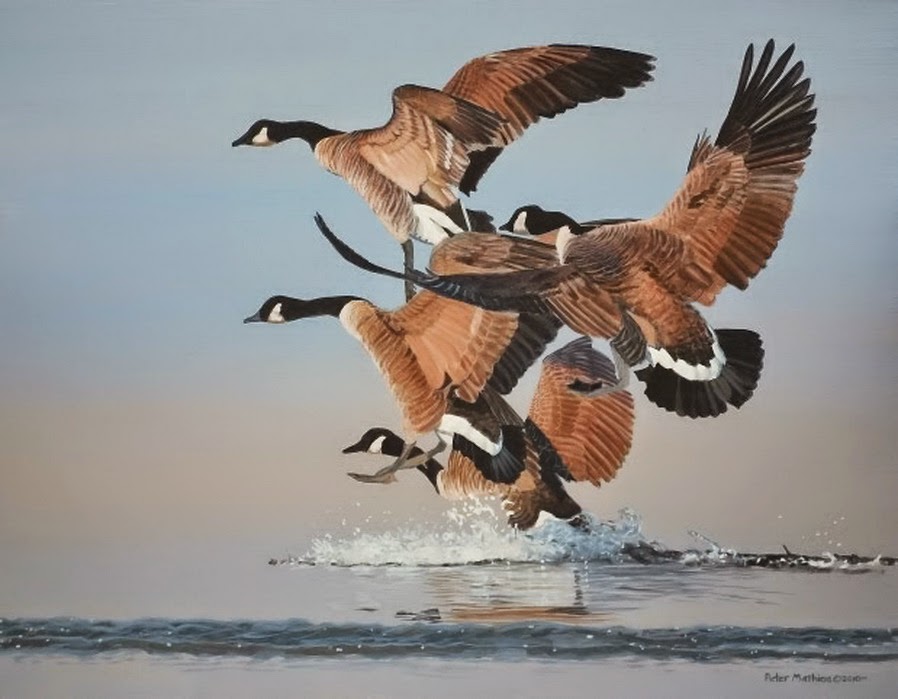 Home Waters: A Fly Fishing Life: "Wild Geese Alighting on a Lake" by ...