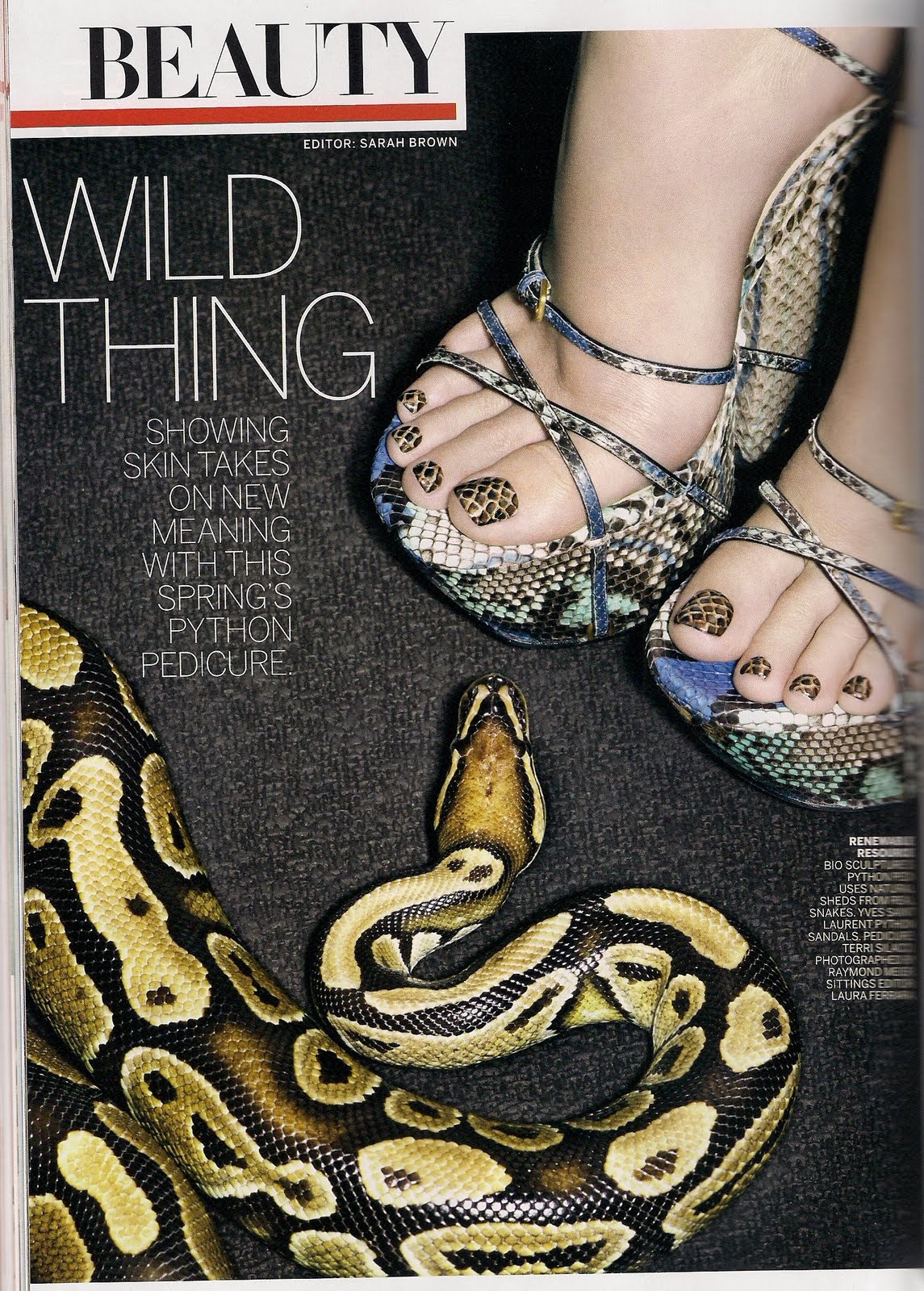 vain's addiction: Más snake print: Vogue USA