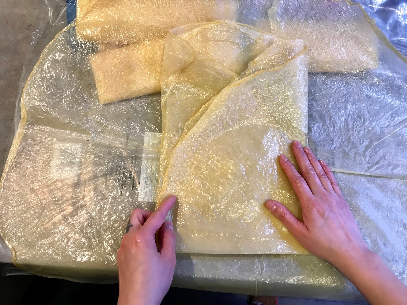 Once upon a cook: Pan Fried Crispy Soy Skin with Lemon Sauce 自製西檸素鴨