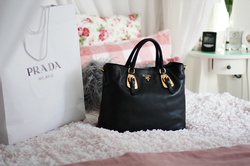 Luxury for All: Sac Prada
