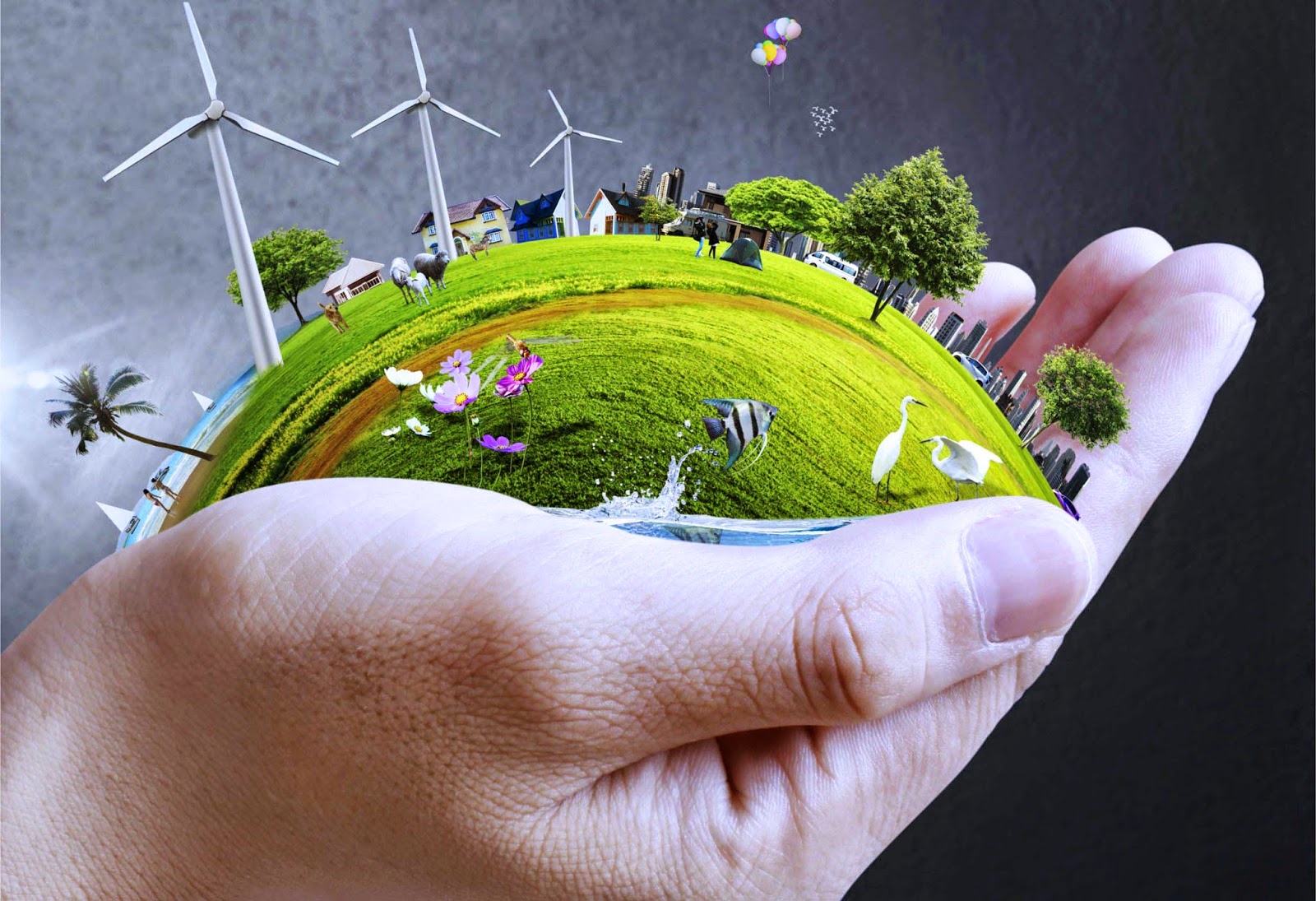 medio ambiente: medio ambiente