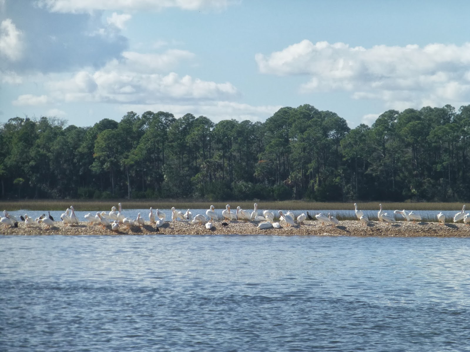 The Good Ship Magnum: Intracoastal Waterway (ICW), Florida Day 1 ...