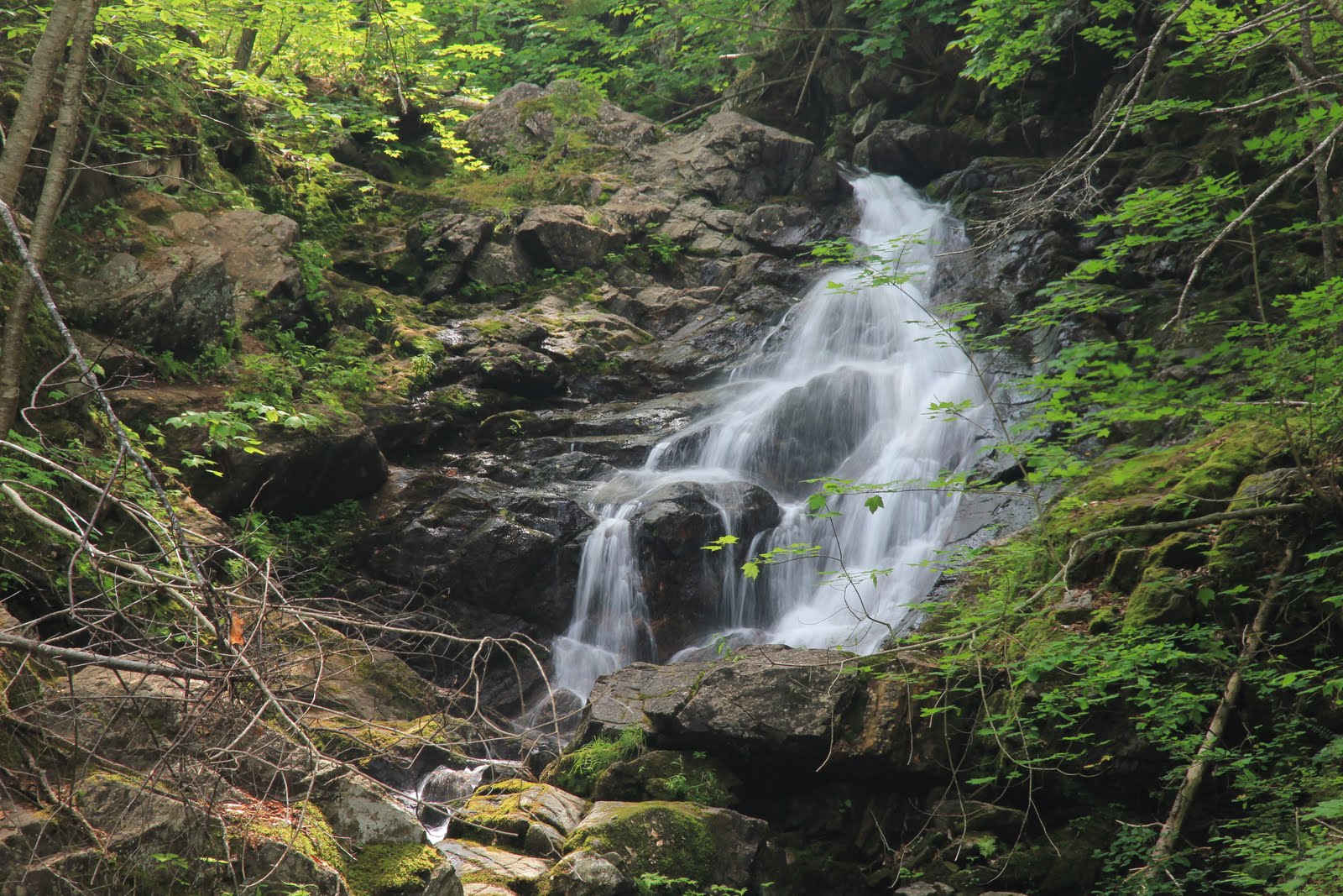 Greggle Goes West: You’ve Already Won Me Over, In Spite of Me