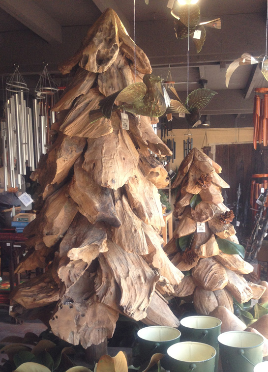 ELDERBERRY STREET: Yearly Rogers Visit