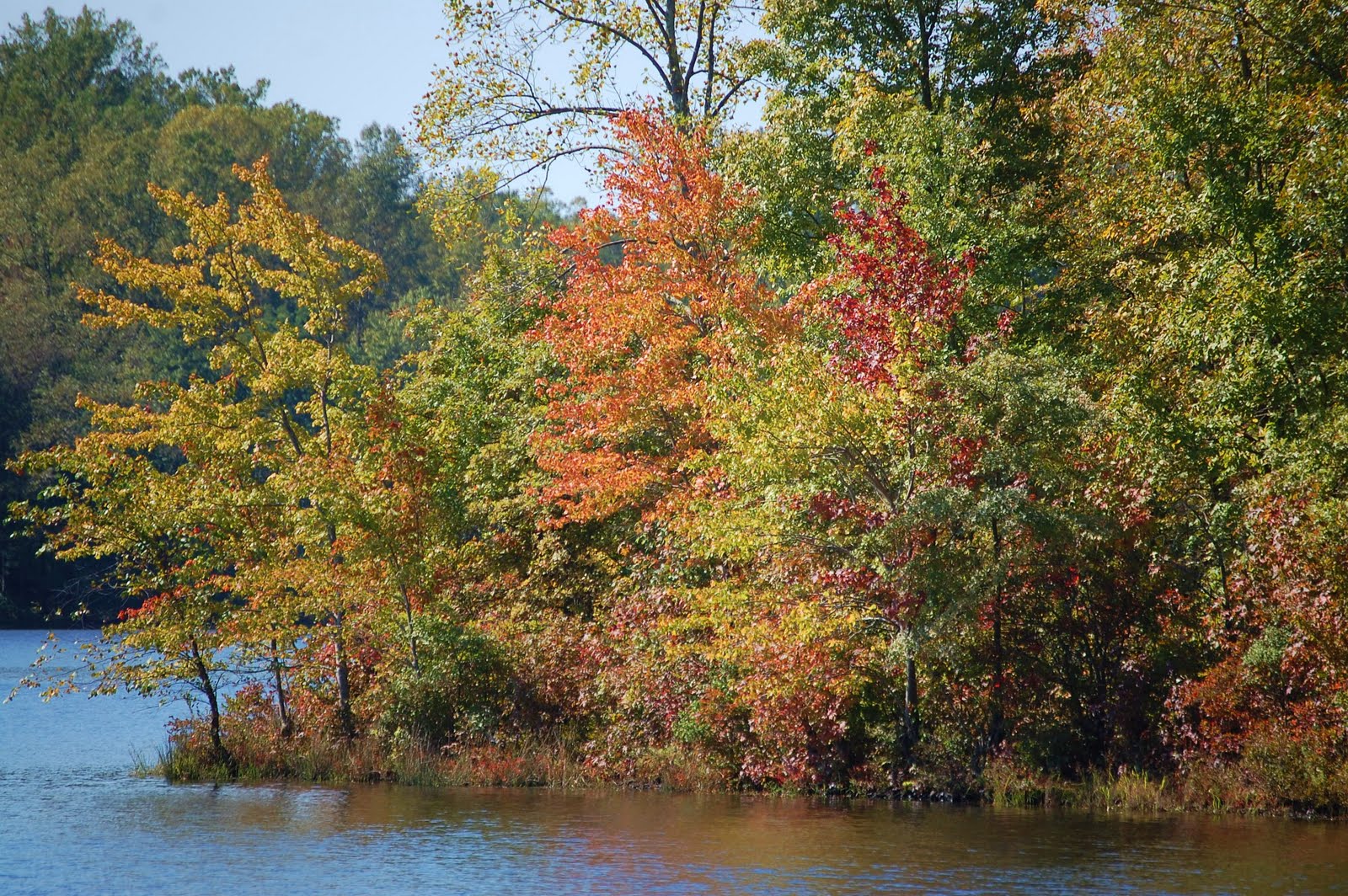 Bong in Virginia: LUNGA PARK IN MARINE BASE QUANTICO, VIRGINIA
