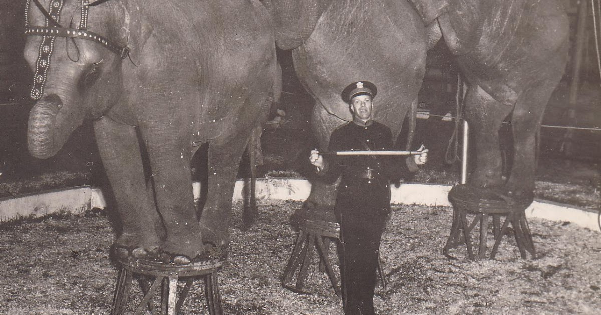 Buckles Blog: #12 Family Pix