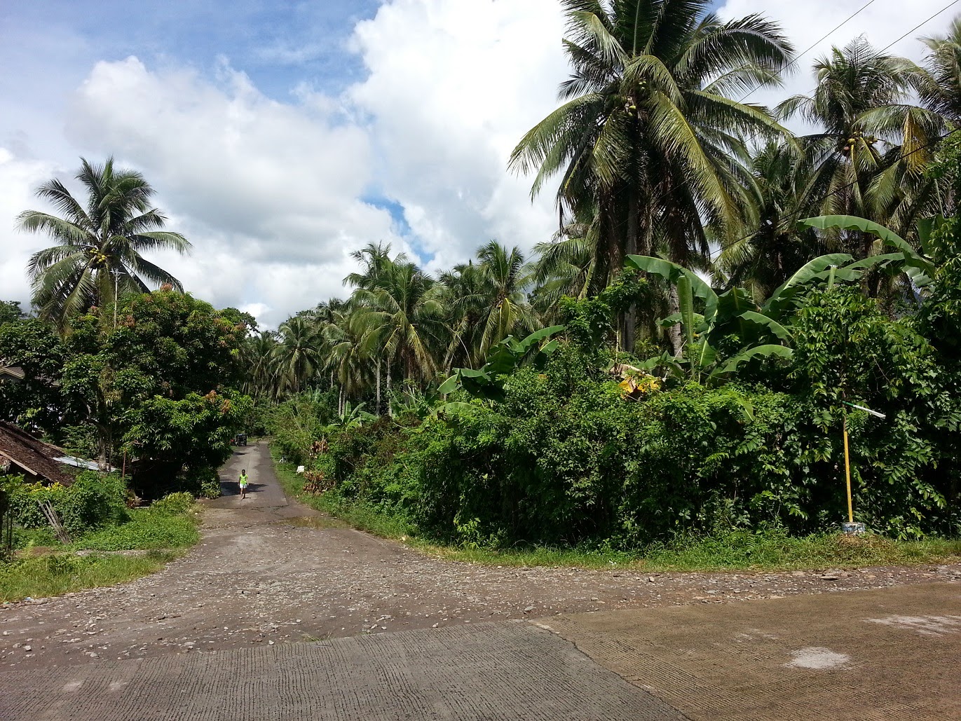 LAGATAW: Mt Cabalian (the hidden mountain)