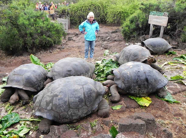 Islas Galápagos, Ecuador turismo de naturaleza