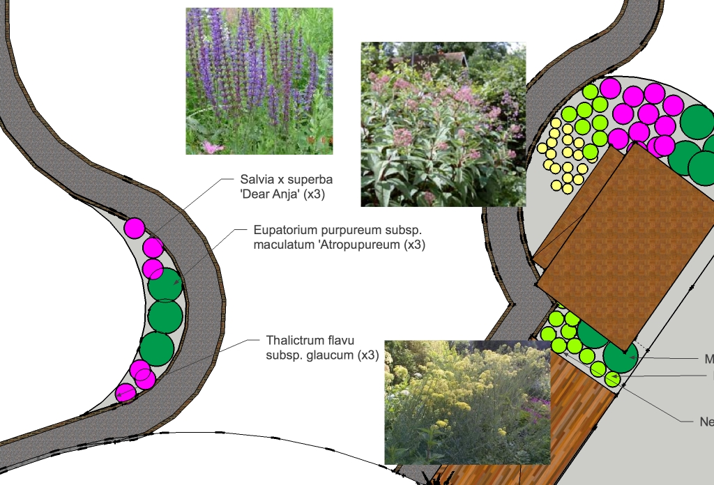 ellisgardendesign: Planting Plan and Home Office
