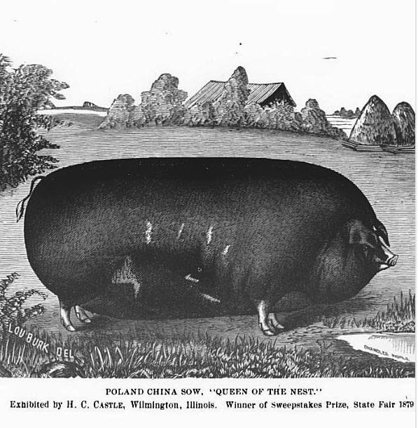 Midwestern Microhistory: A Genealogy Blog: Analyzing too much ...