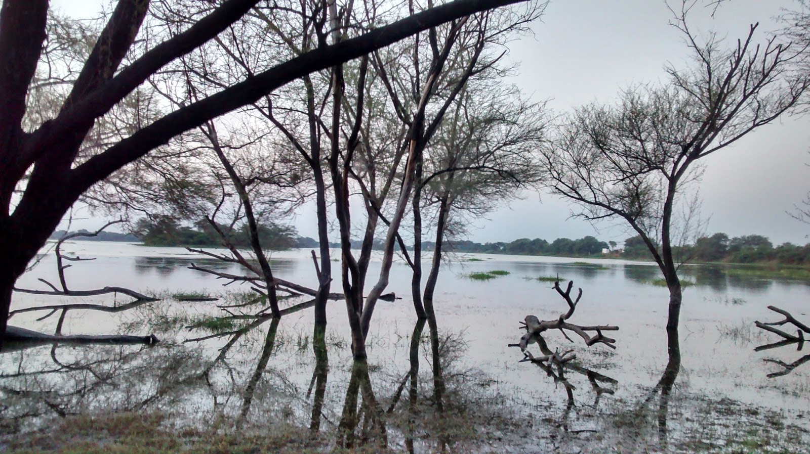 Amazing Places in The World to Visit: Thol Lake - Thol Bird Sanctuary ...